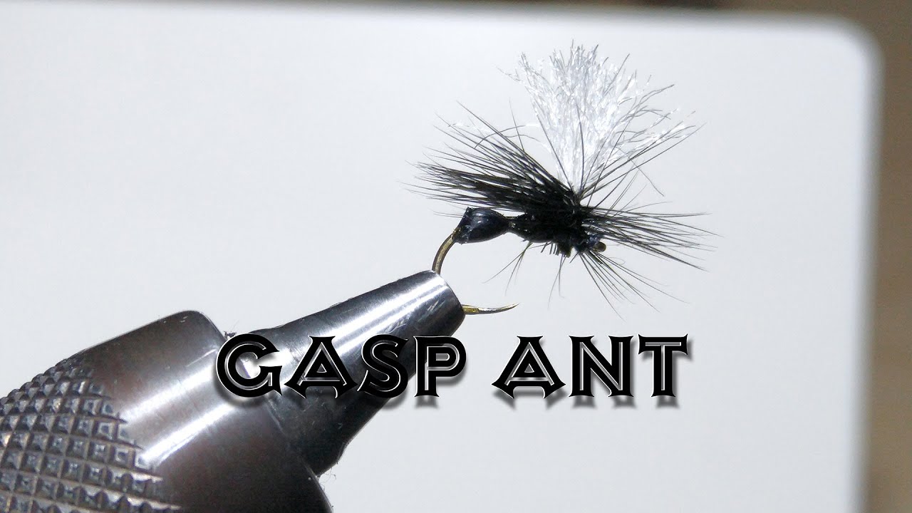 GASP Ant - Fly Tying Tutorial - YouTube