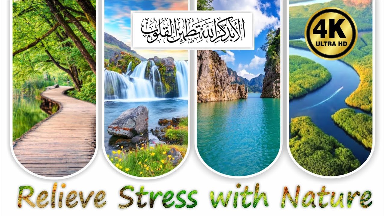 Relieve #Stress and Anxiety with Nature,#4kvideo - YouTube