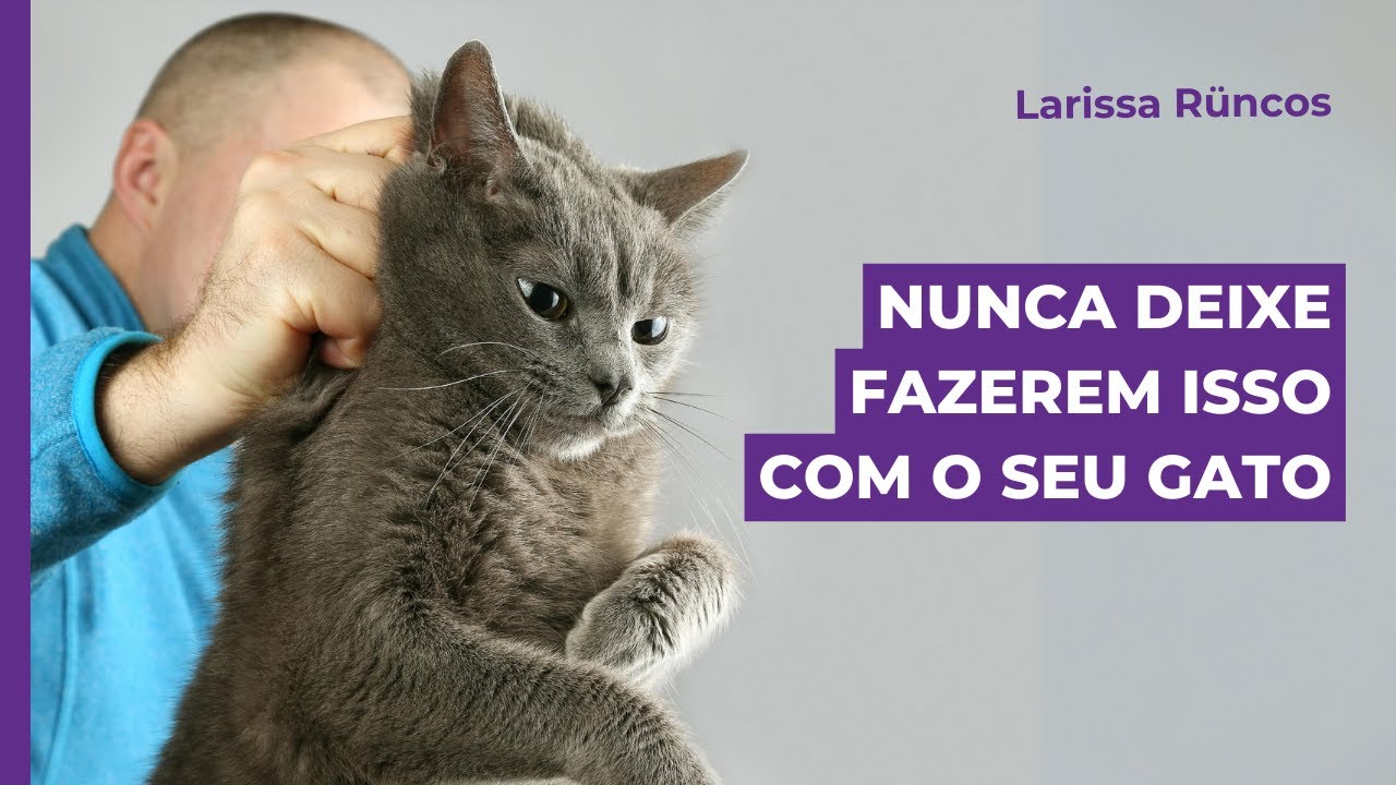 Nunca deixe nem um veterinário segurar seu gato pela pele do pescoço ...