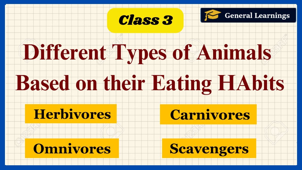 Types of animals based on their Eating Habits | Class 3 Science ...