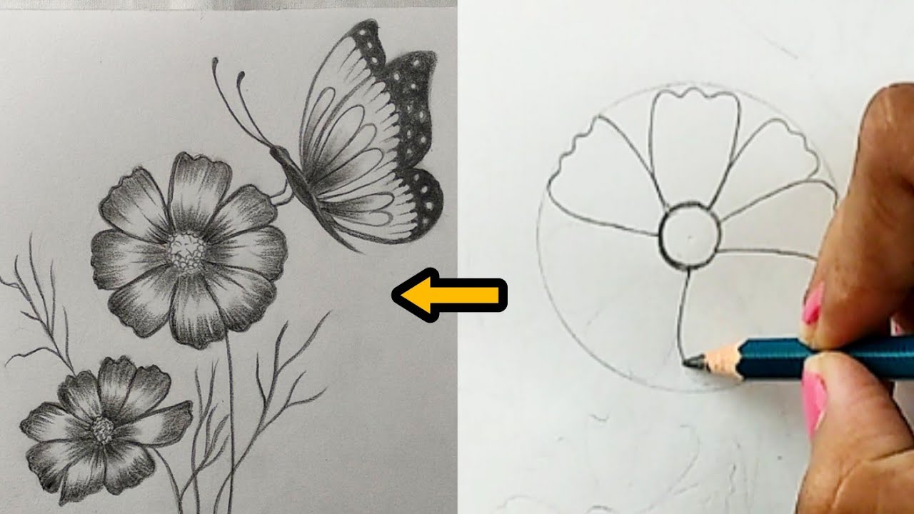 How to draw a flowers and butterfly easy pencil sketch for beginners ...