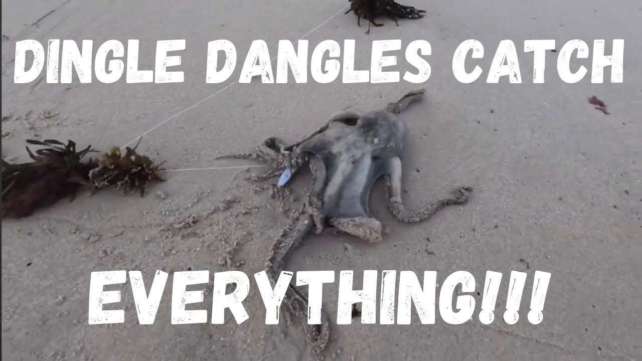 Strange Catch Fishing Perth Beaches, Western Australia - YouTube