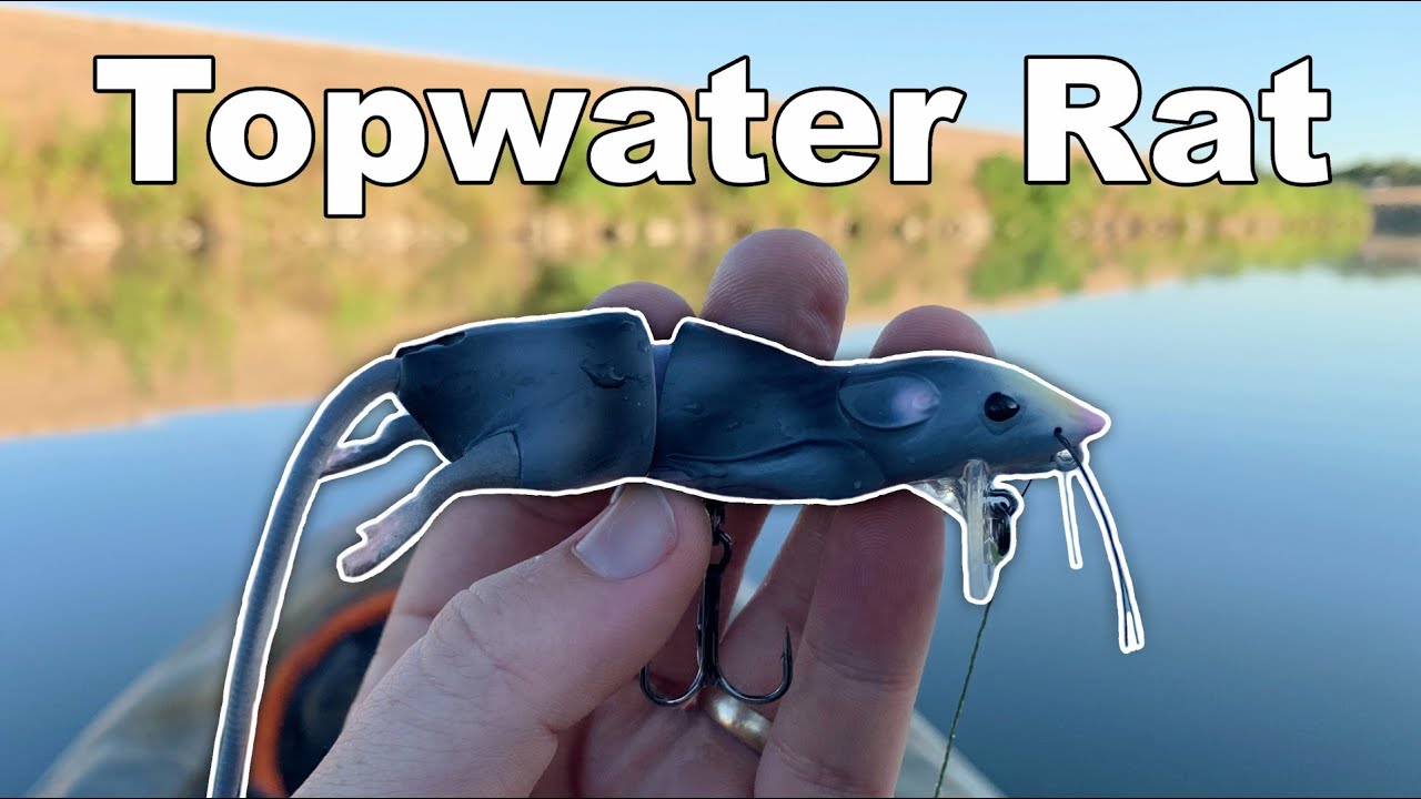 Fishing with a Topwater RAT for Giant River Bass! - YouTube