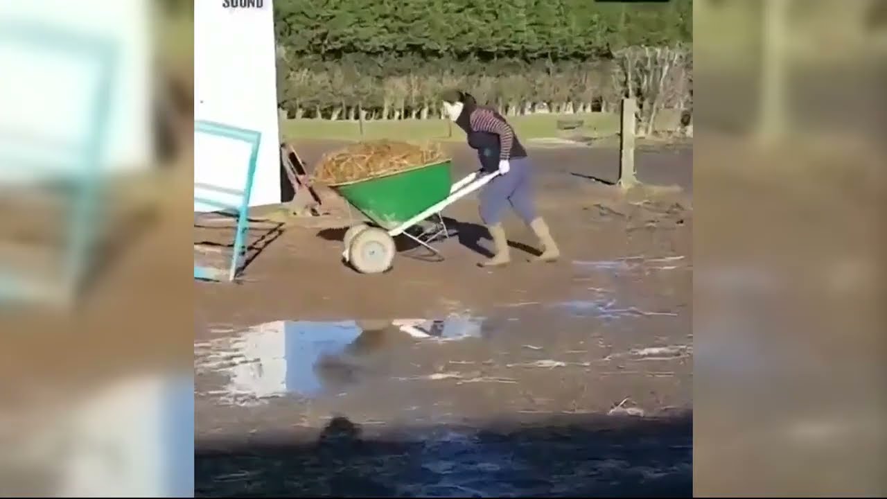 Funny Video: Wheelbarrow Fail - YouTube