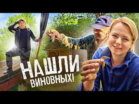 В ДЕРЕВНЕ ВЕКАМИ ТАК ДЕЛАЮТ! КТО РАЗОРЯЕТ ОГОРОД И КАК МЫ ВЫТАЩИЛИ ЛОДКУ? ЗАСАДИЛИ ГРЯДКИ В ЛЕСУ.