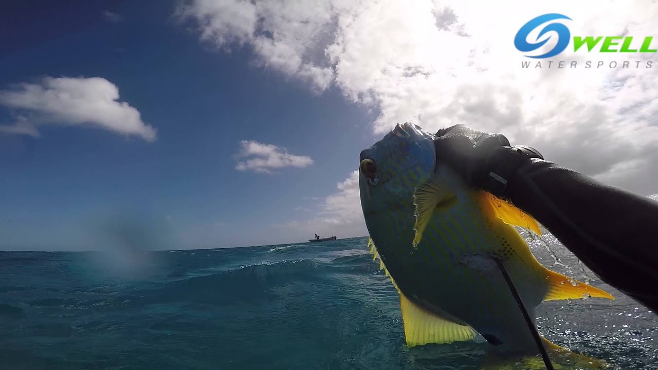 Spearfishing the Great Barrier Reef - Part: 1 - YouTube