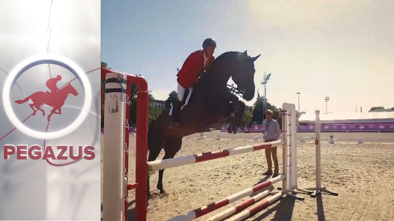 2017 December | Chacco Blue II | Pegazus Magazin | m4Sport - YouTube