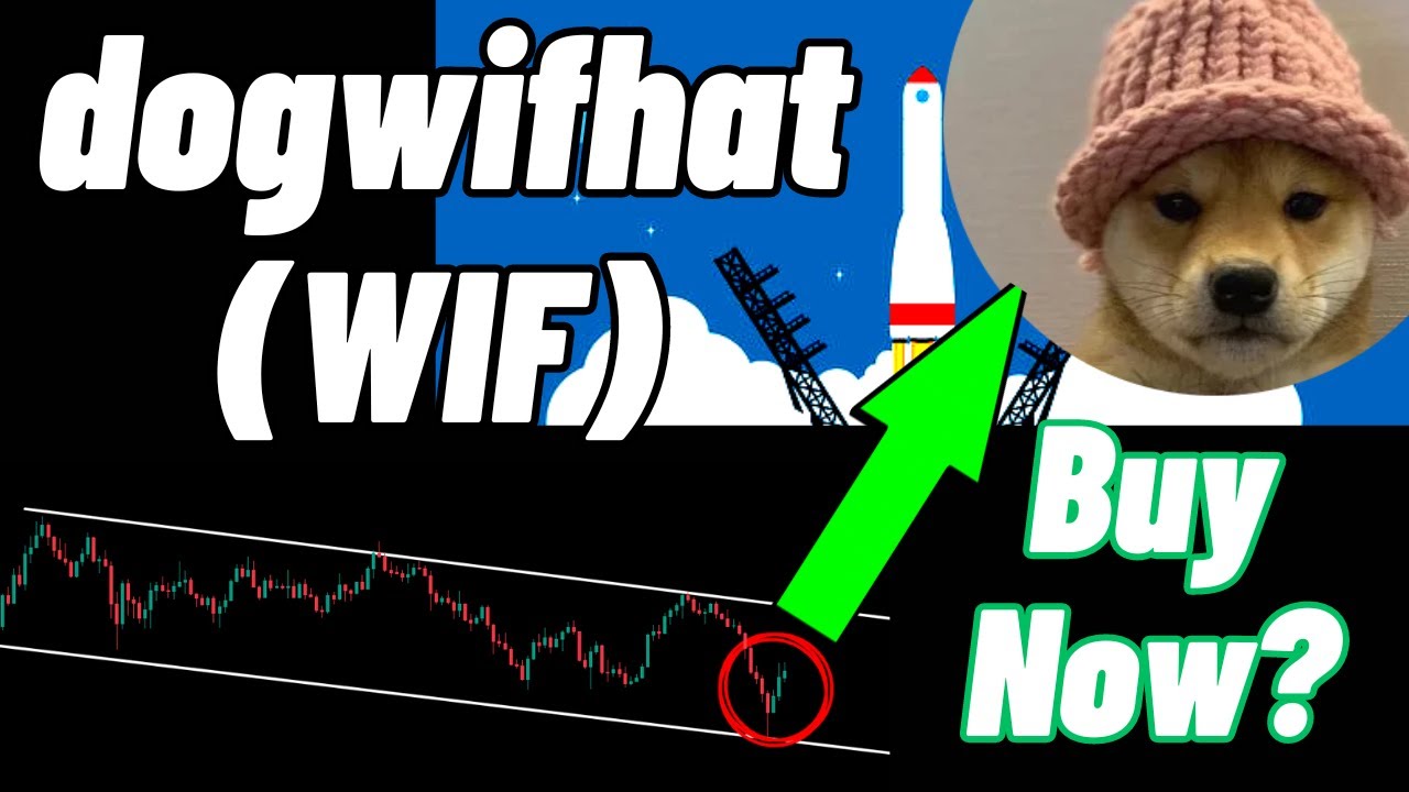 dogwifhat (WIF) Crypto Coin Price Prediction And Analysis | Buy Now ...