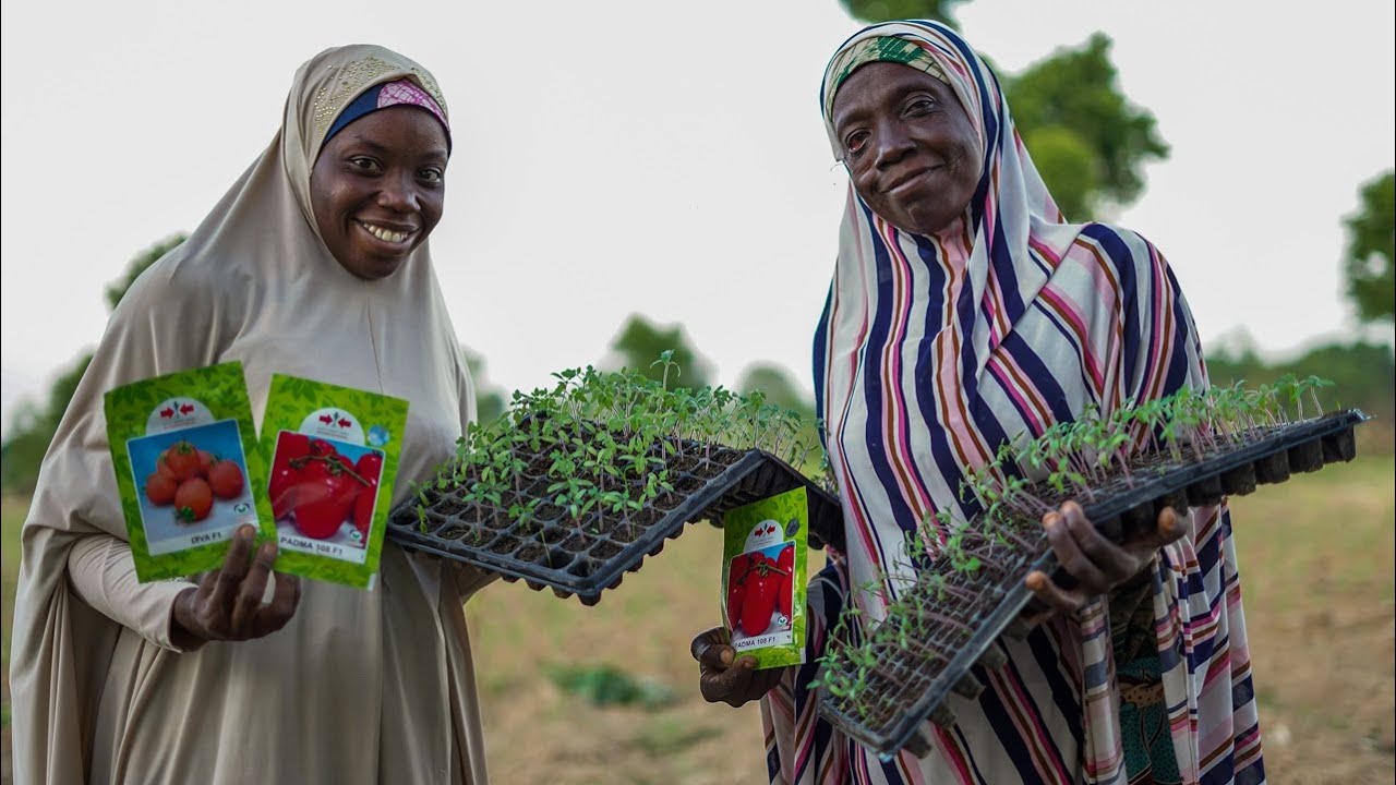 Better seed make a better world - East-West Seed - YouTube