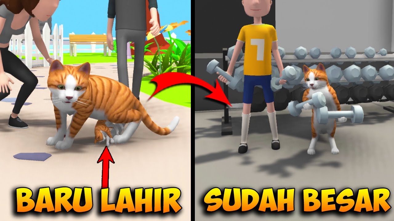 GAME KEHIDUPAN KUCING DARI LAHIR SAMPAI MENINGGAL ! - Cat Life ...