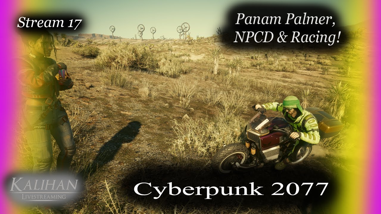 Panam Palmer, NCPD Hustles & Street Racing | Part 17 | Cyberpunk 2077 ...