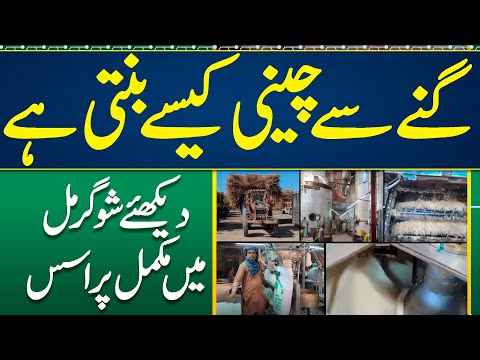 Sugarcane Se Sugar Kaise Banate Hain? Dekhiye Sugar Mill Me Sugar Banane Ka Process