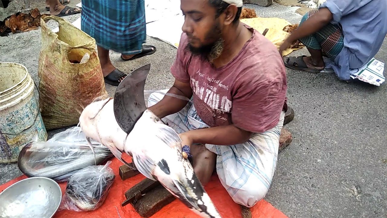 Cutting Technique!! How to A Big Testy Bagair Fish Cutting Live in ...