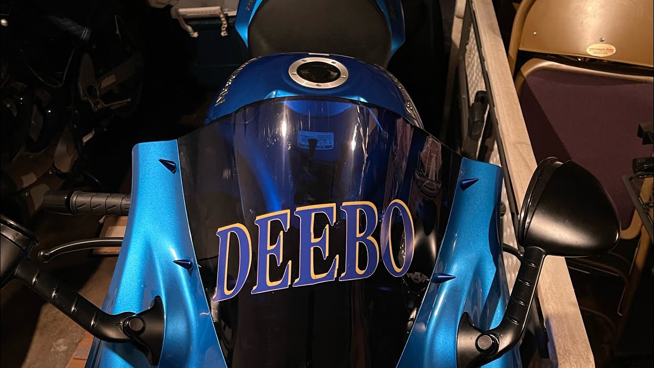 ZX14R - ITS LIKE A ROLLER COASTER - ZOOM (introducing DEEBO) that’s my ...