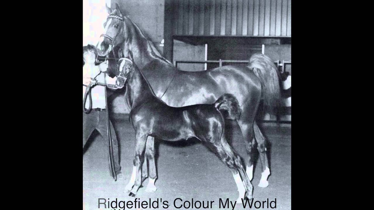 Jim Bray Tribute - YouTube