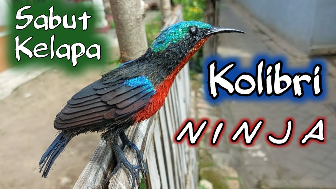 Kerajinan burung KOLIBRI NINJA terbuat dari sabut kelapa dan Gliter ...