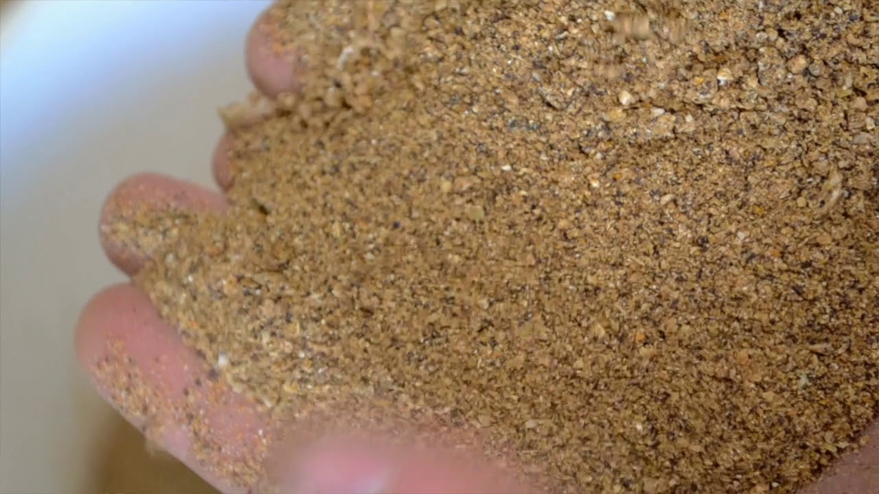 BP GOLD- The High Protein Cereal Fish Feed From BP Milling - YouTube