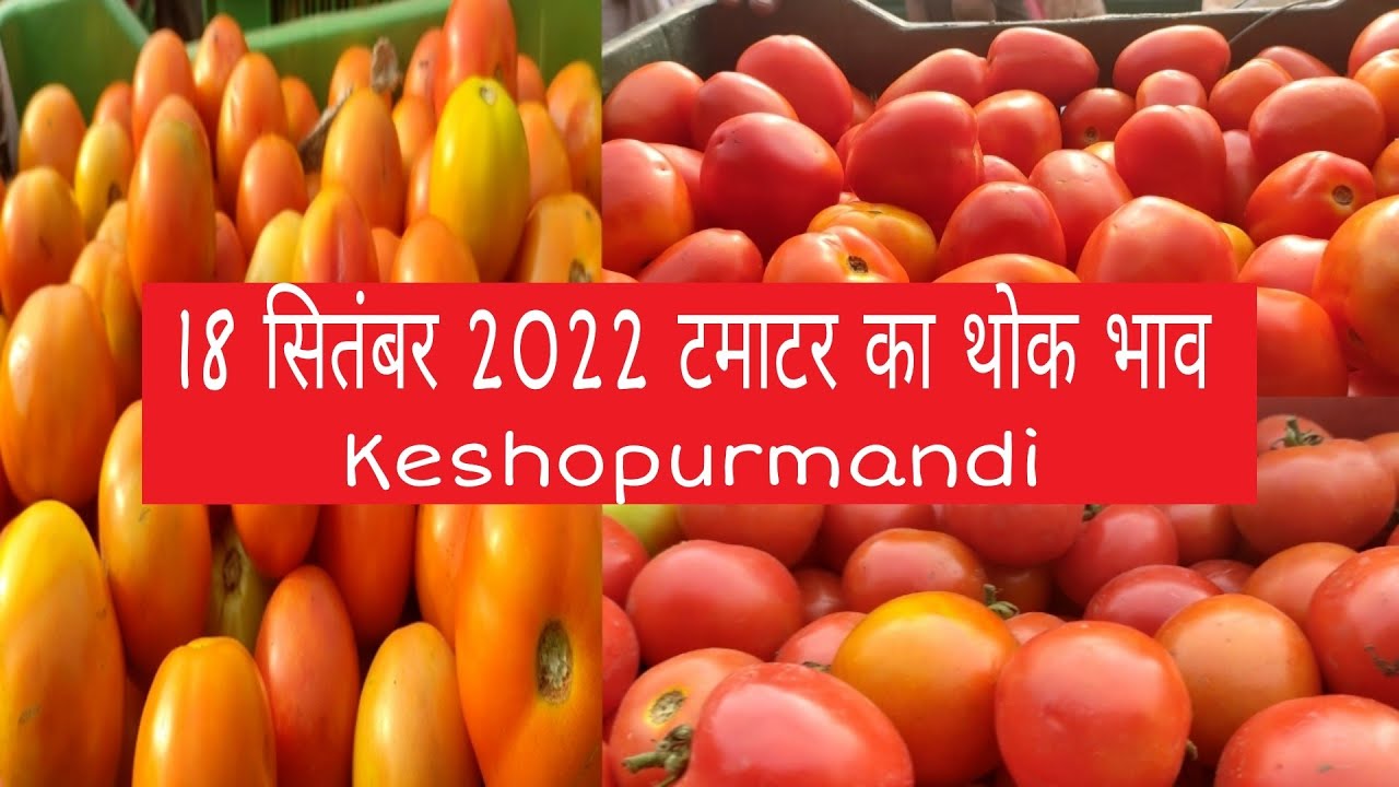 18 September 2022 टमाटर का थोक भाव || Today vegetable price ||today ...