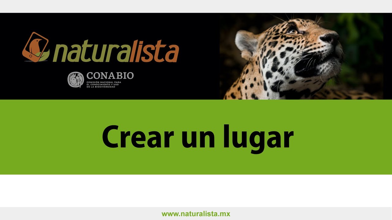 Crear un lugar en naturalista 2021 - YouTube