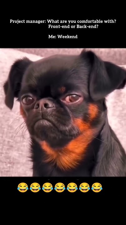 “Frontend? Backend?” Bro, I’m good with WEEKEND 😎🤣 #Shorts - YouTube