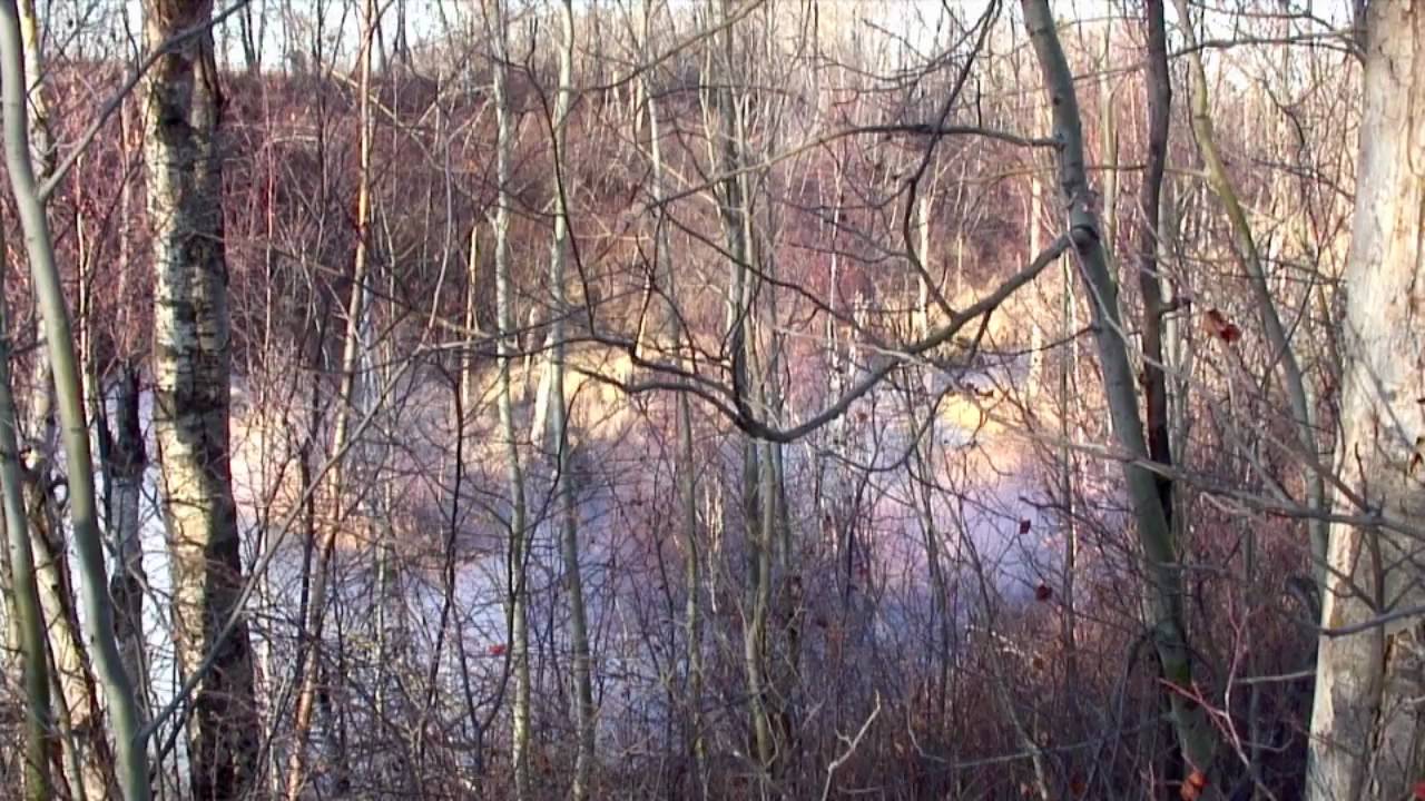 Exploding Beaver Dams - YouTube