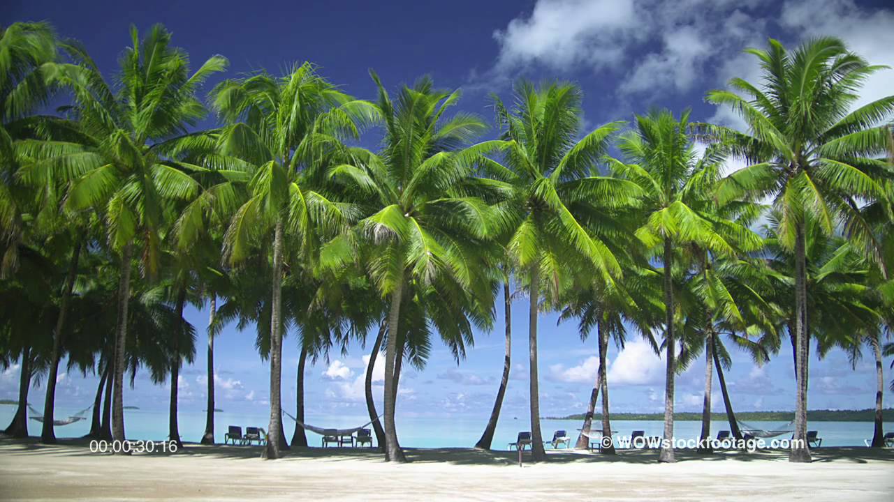 Palm trees to sun loungers, Cook Islands - YouTube