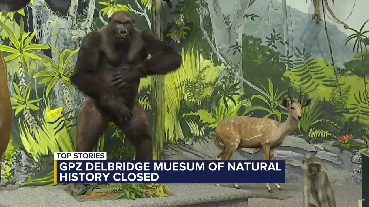 Delbridge Museum of Natural History closing - YouTube