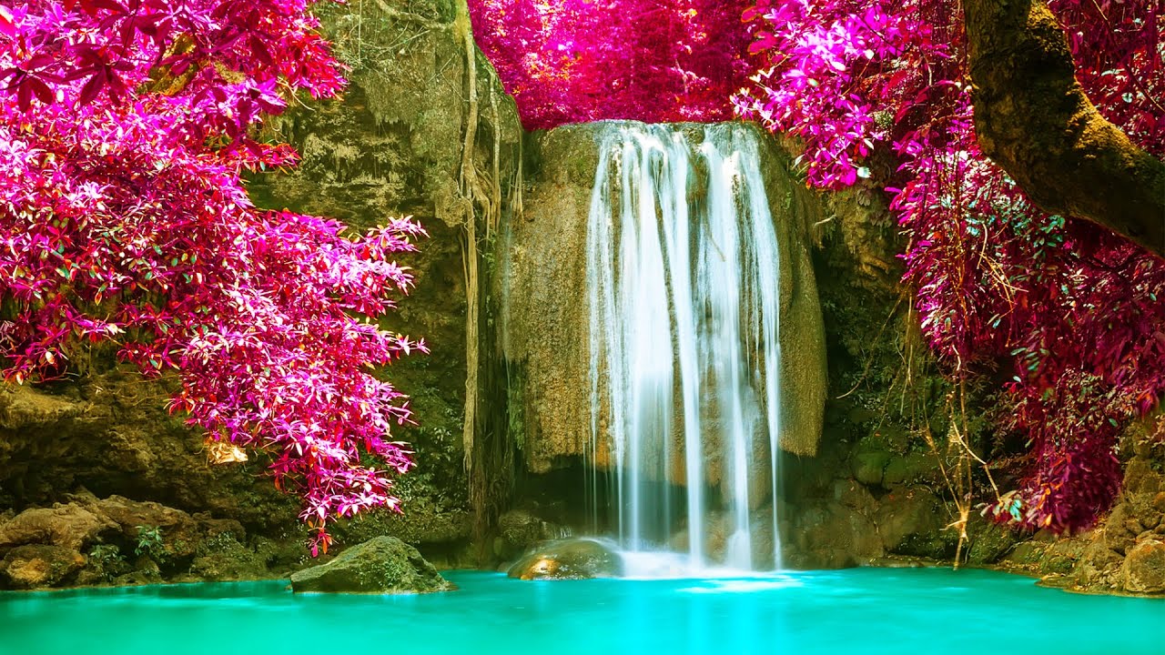 Relaxing Calming Music with Water Sounds, Bird Sounds 🎁 Meditation ...