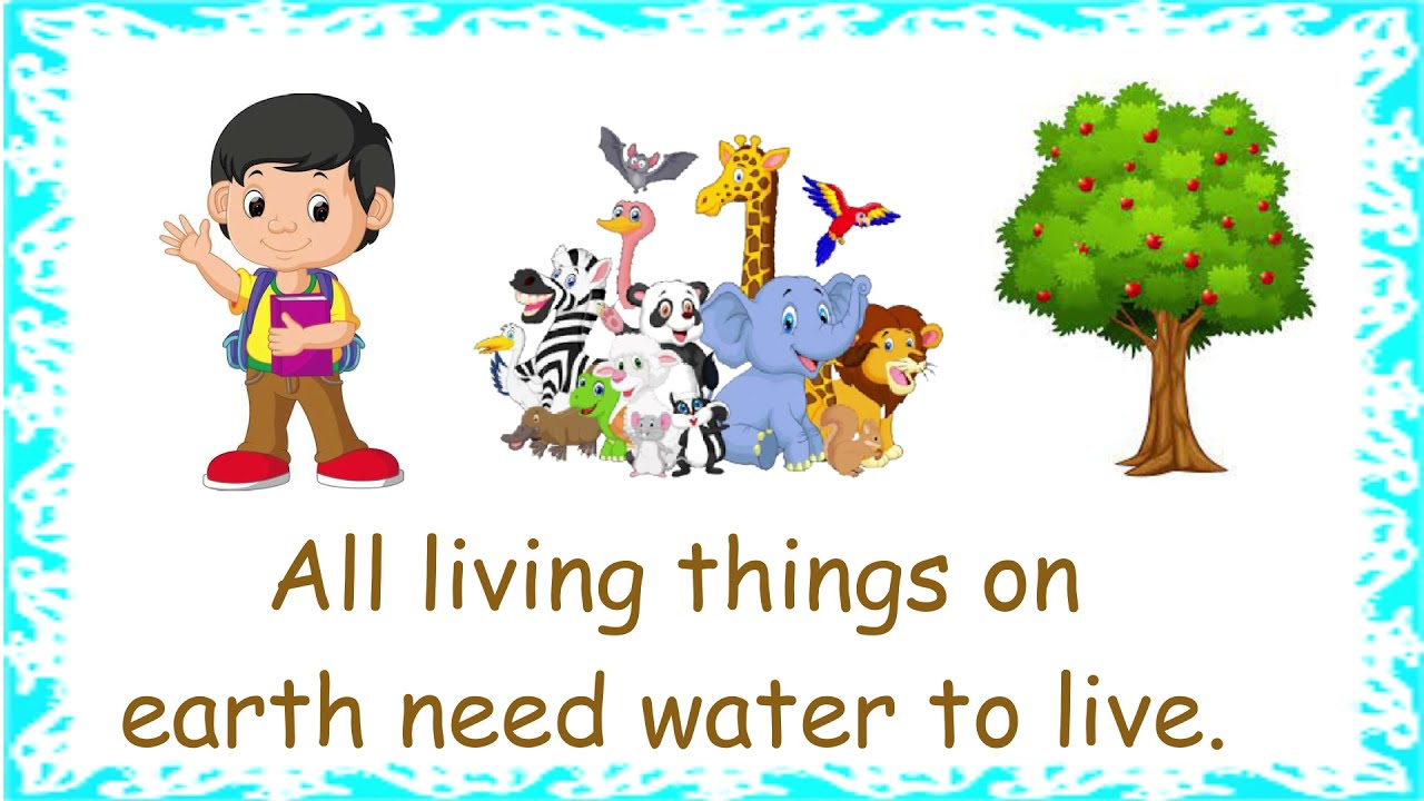 Speech On Importance Of Water | Essay on importance of water ...