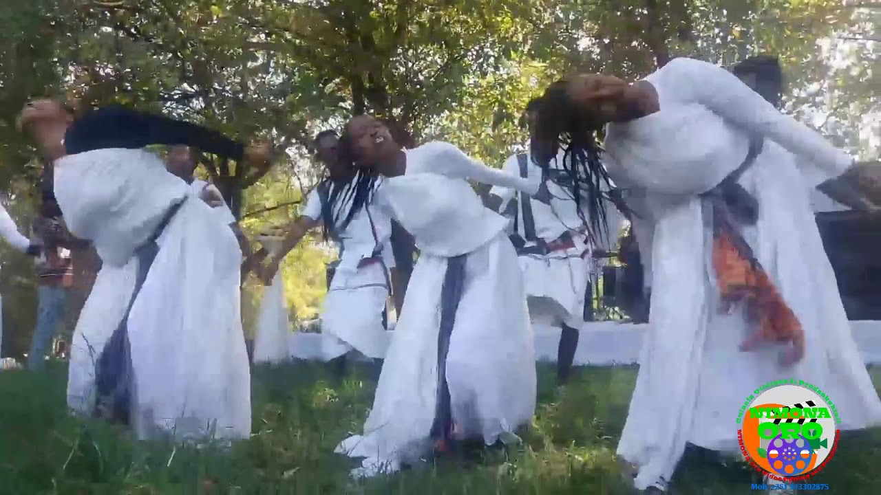 New oromo shagoyee harargee - YouTube