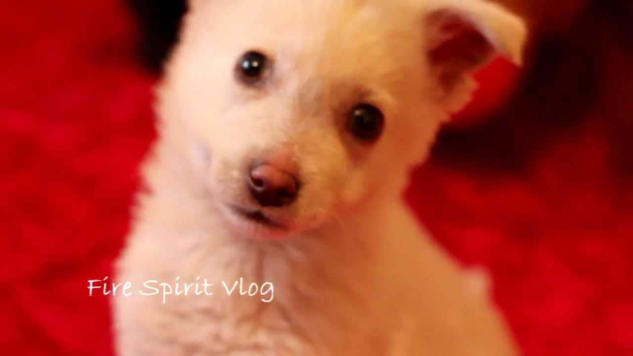 Hey Baby, how are you doing? - YouTube