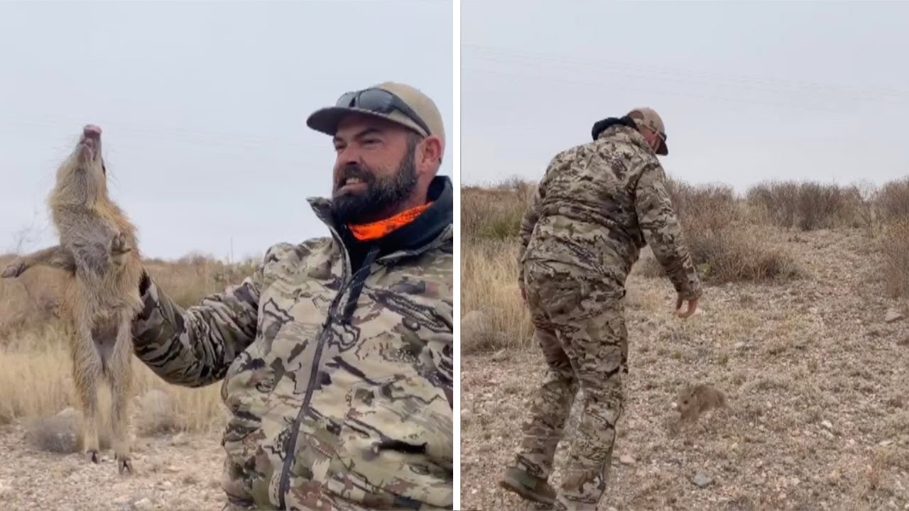 Angry Little Pig Charges At Man - YouTube