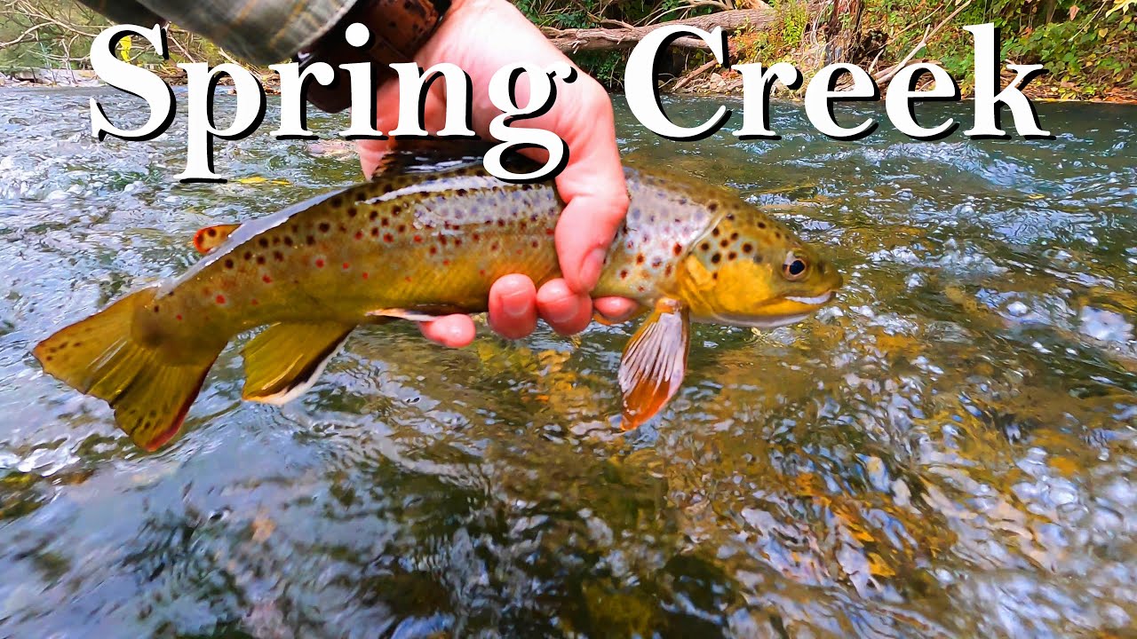 SPRING CREEK Pennsylvania | Fly Fishing Euronymphing The Legendary ...