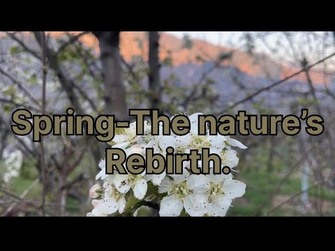 Spring - The nature’s rebirth | #spring #nature #calm #mountains - YouTube