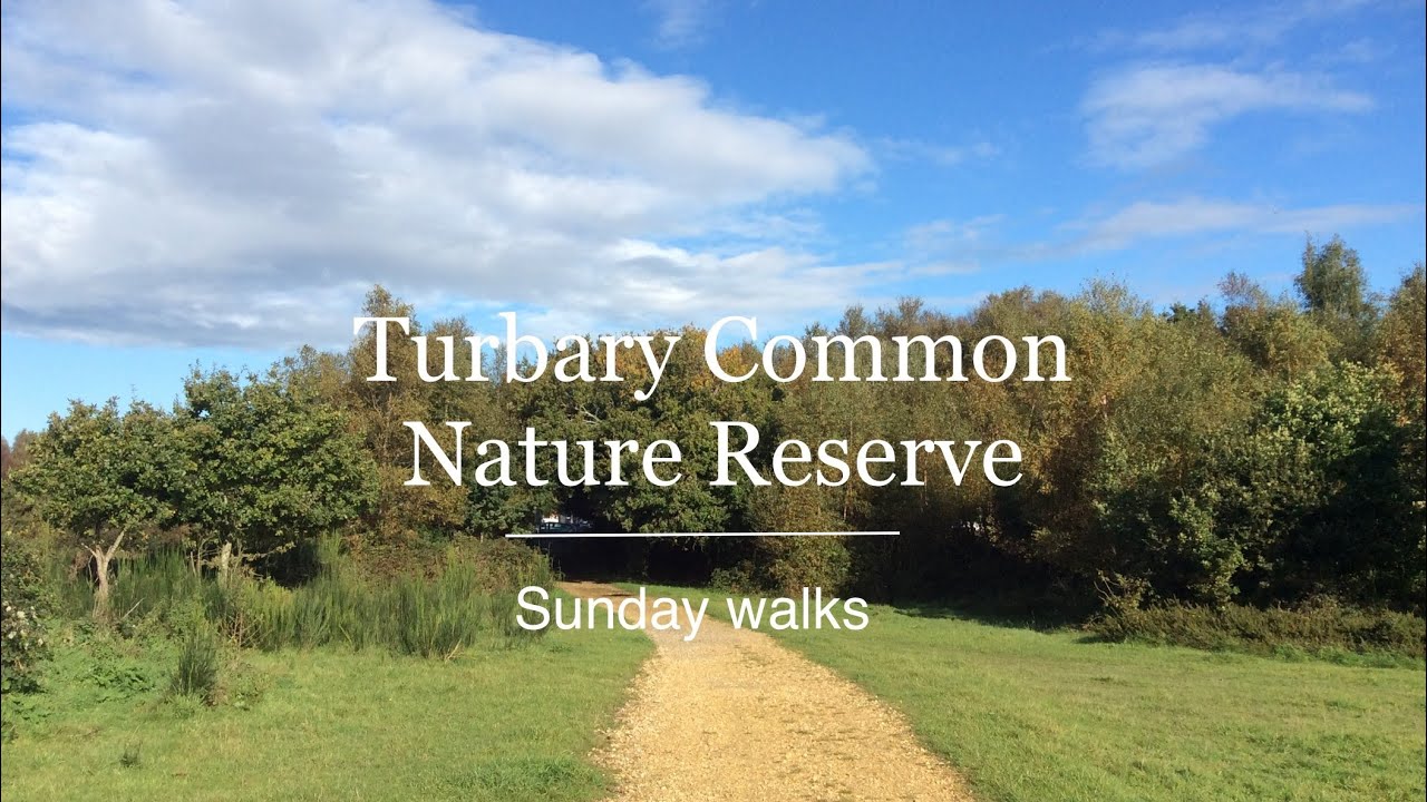 Turbary Common local nature reserve - YouTube