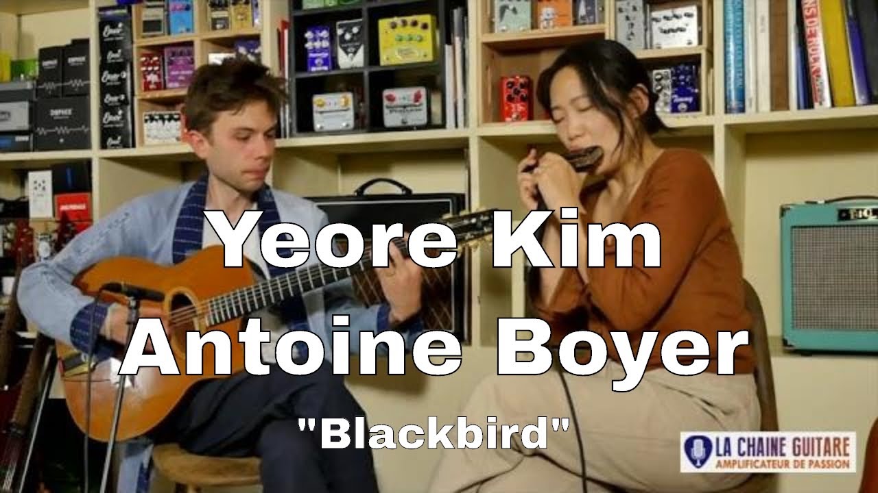 Blackbird - Yeore Kim & Antoine Boyer - Concert en direct de La Chaîne ...