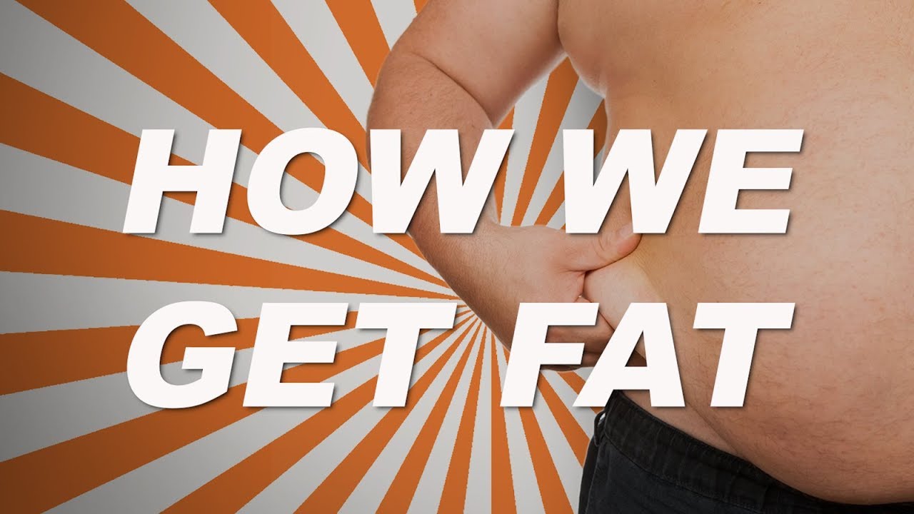 How We Get Fat | MagellanTV - YouTube