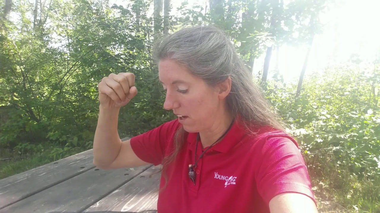 Road to Silver by Debra Rayburn - YouTube