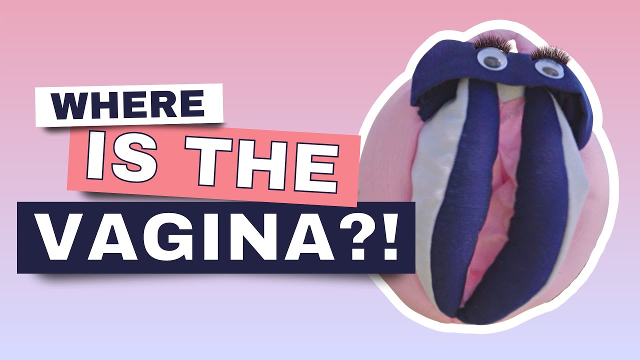 conditionHER PRESENTS "VULVA ON THE STREET!": How Much Do YOU Know ...