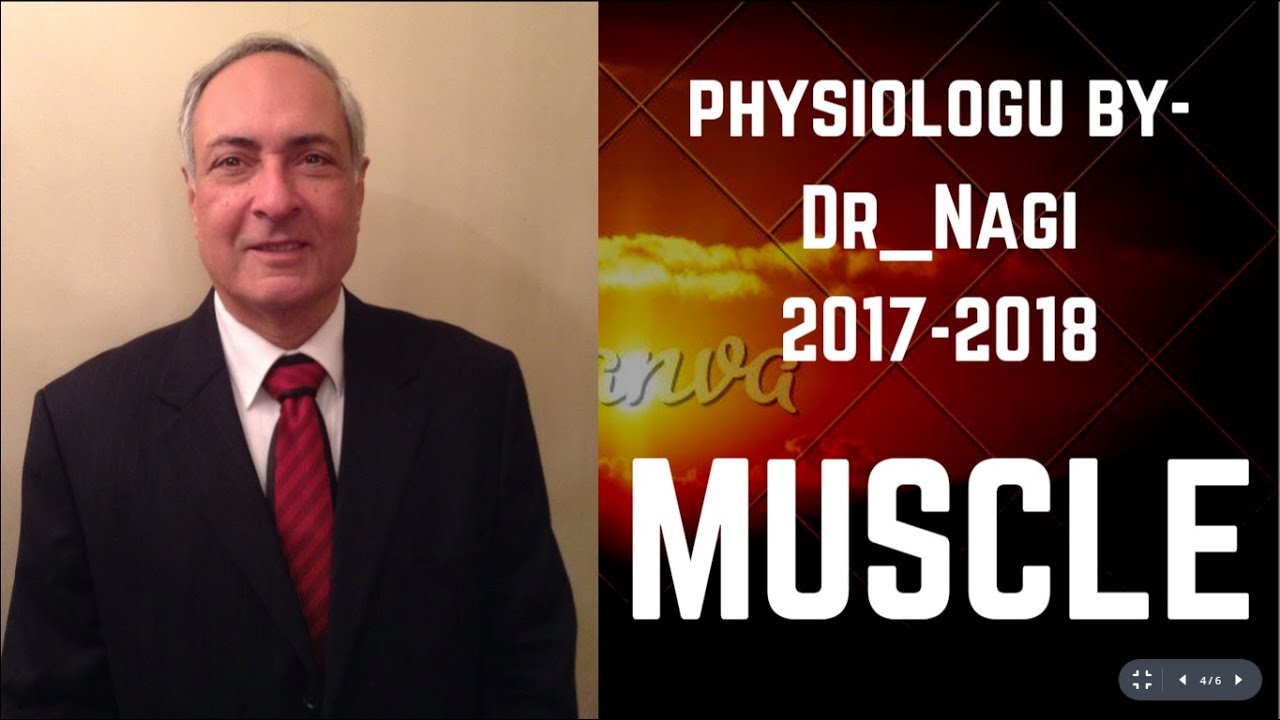 18_Physiology Dr-Nagi muscle-1المجاضرة الثامنةعشر|فيسيولوجي|د.ناجي ...