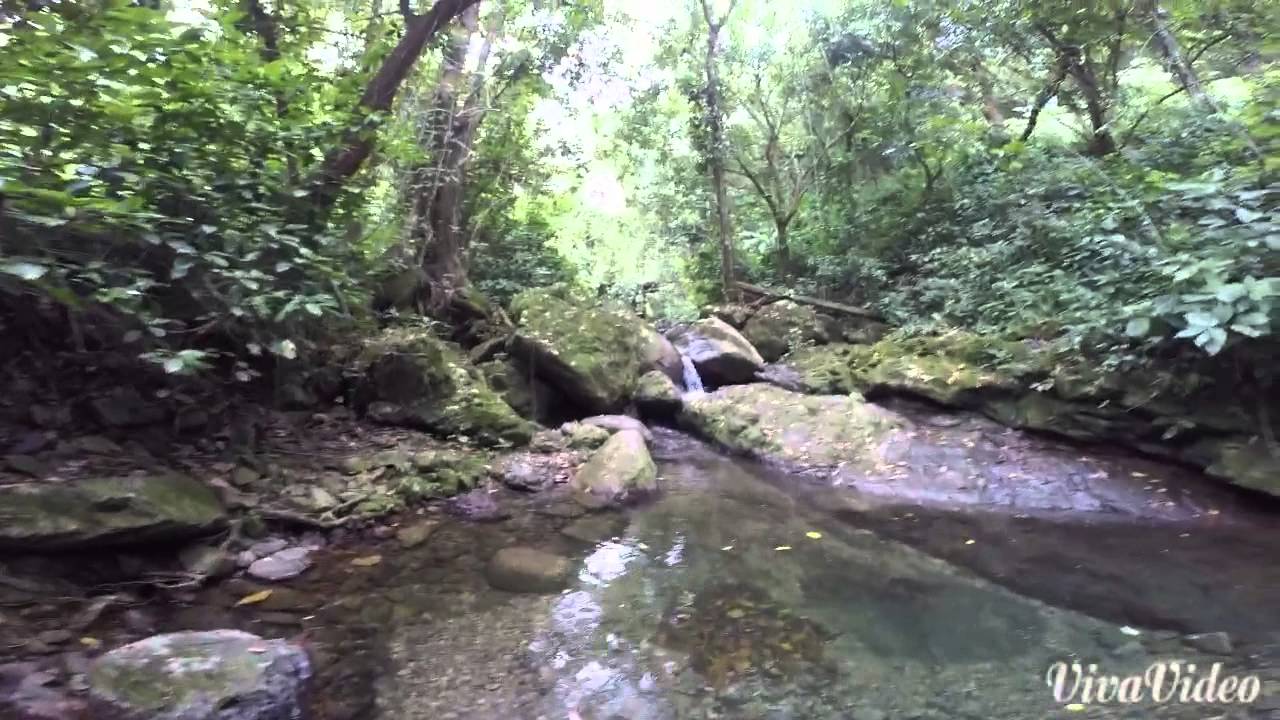 Road trip rio Jurutungo en Ponce - YouTube