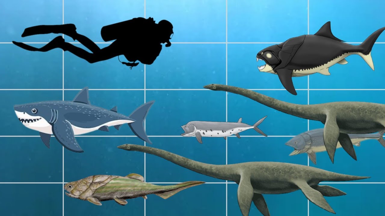 Prehistoric Fish size Comparison | Fish Eats Fish | prehistoric Animals ...