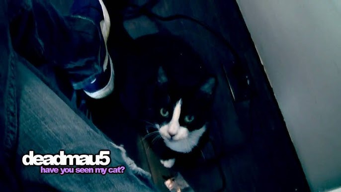 Meowingtons Hax Enabled