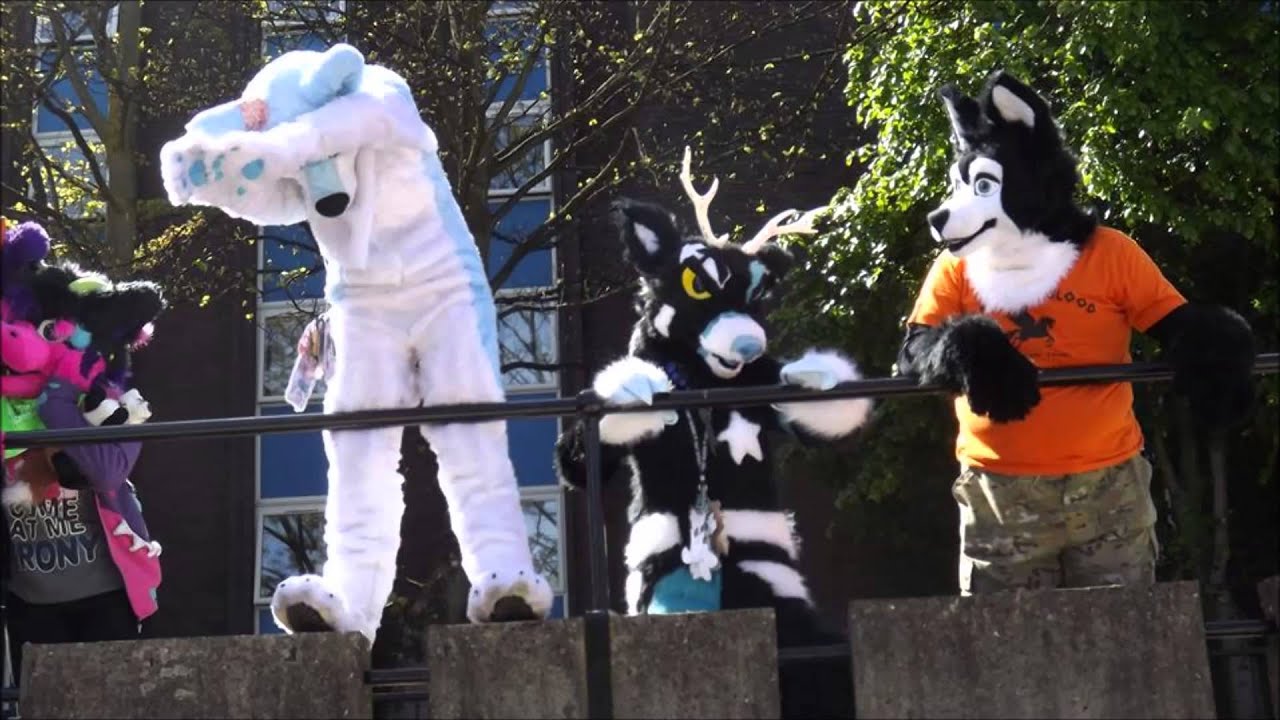 furry pic's part 16 - YouTube