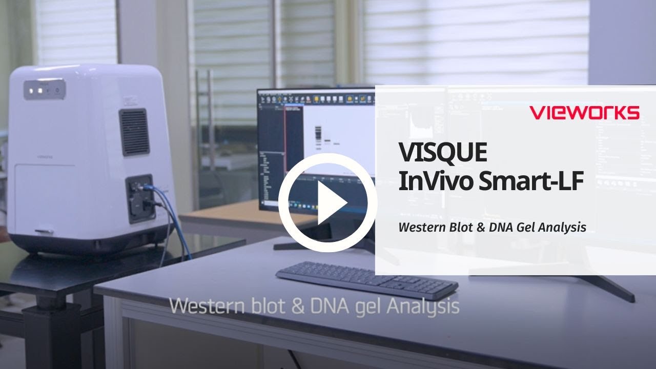 VISQUE InVivo Smart-LF - Western blot & DNA gel analysis - YouTube