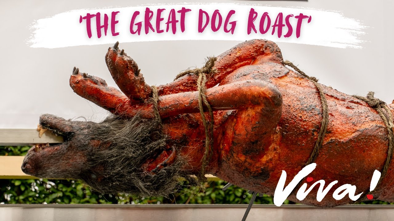 'The Great Dog Roast' - YouTube