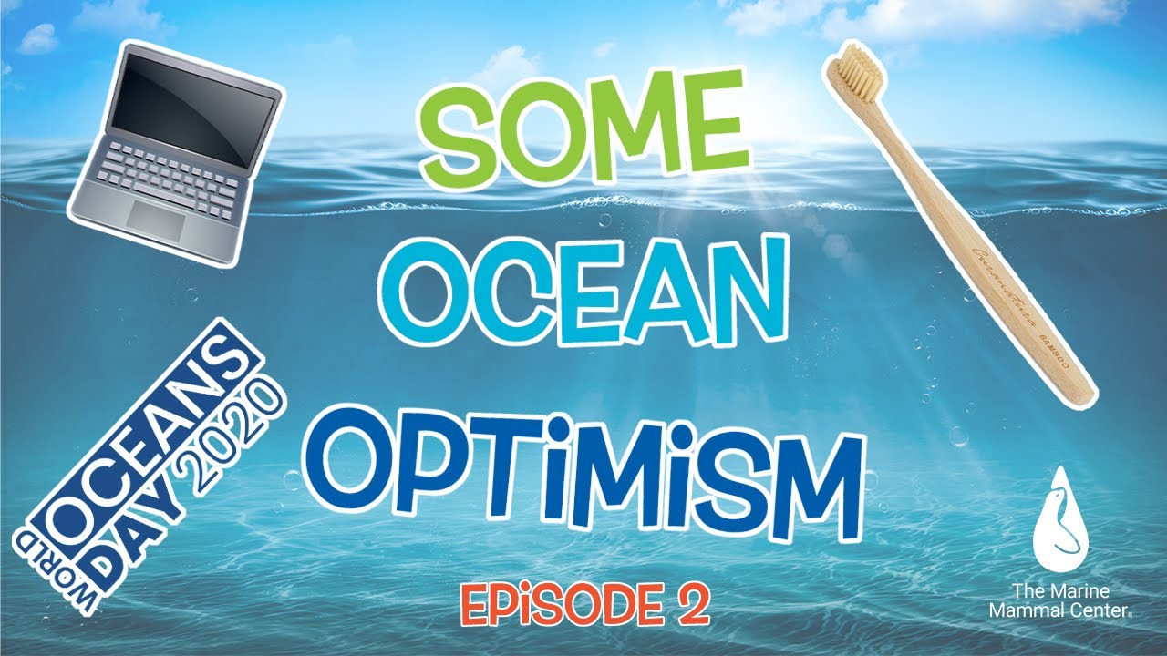 Some Ocean Optimism: World Oceans Day - YouTube