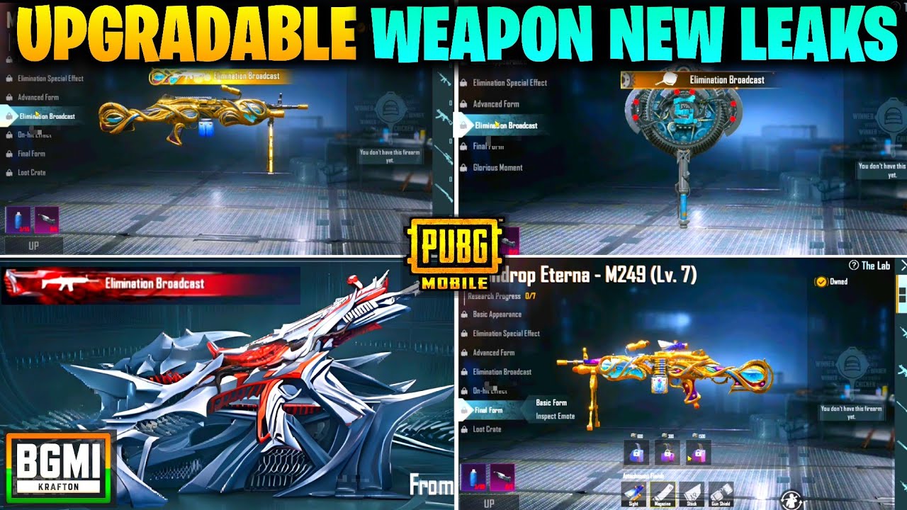 2.5 Update Upcoming New Upgrade Gun |😱 Next Upgrade Gun Skin in Pubg ...