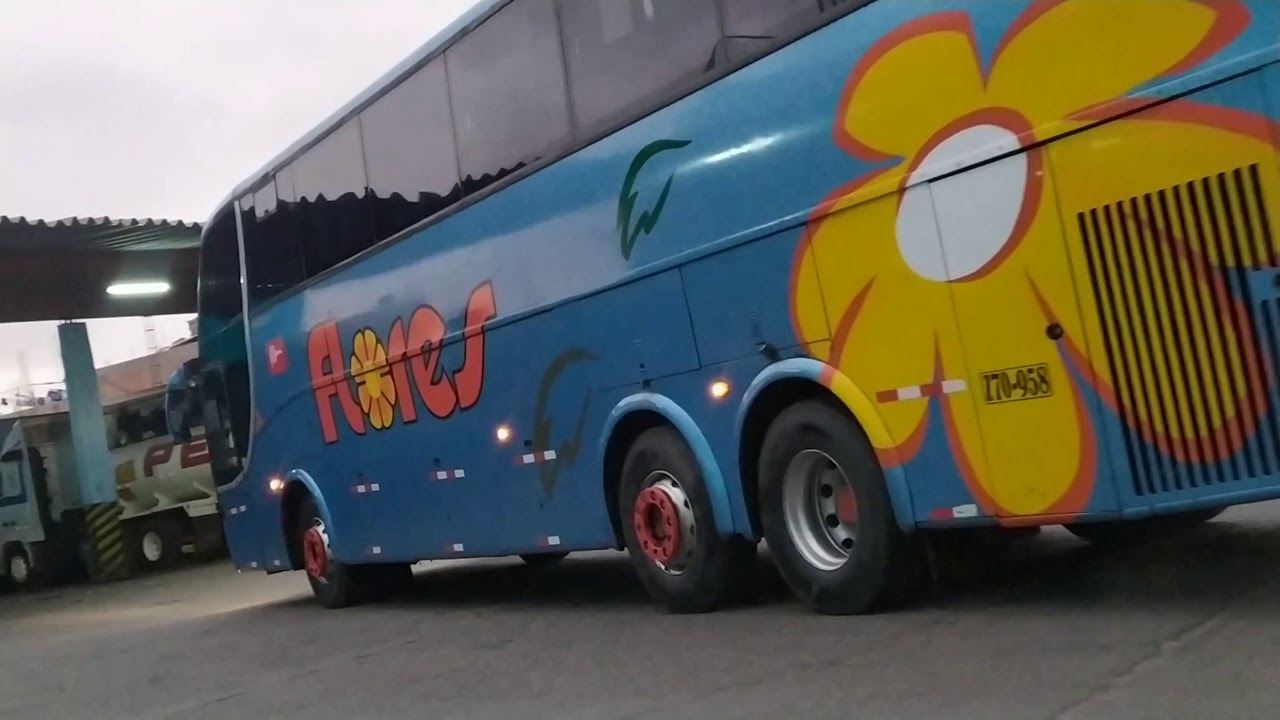 Terminal Flores - Collasuyo TACNA "BUSES DEL PERÚ" - YouTube
