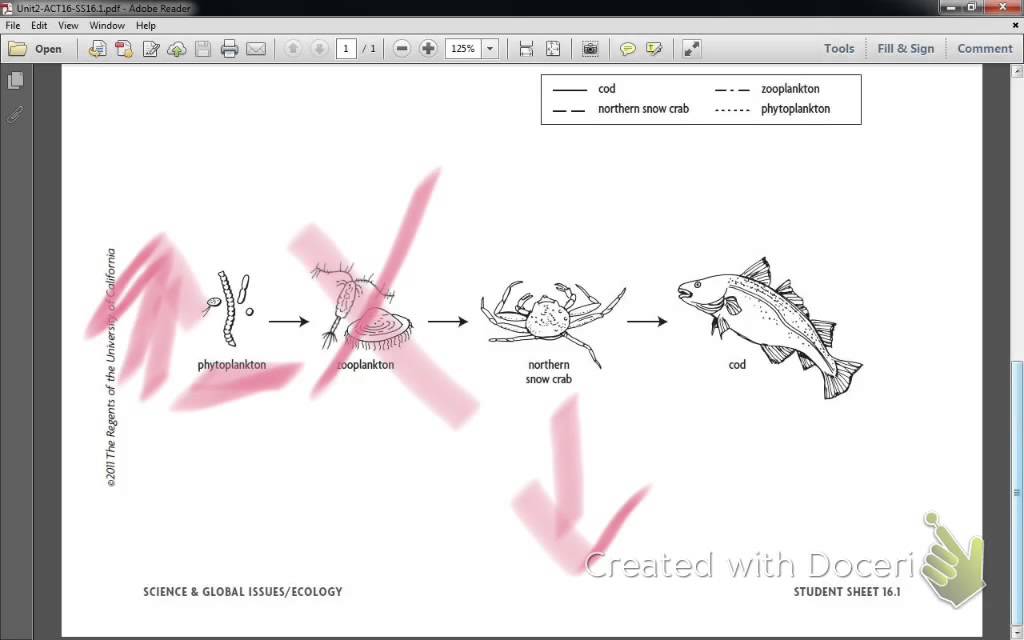 Ecosystems Out of Balance - YouTube